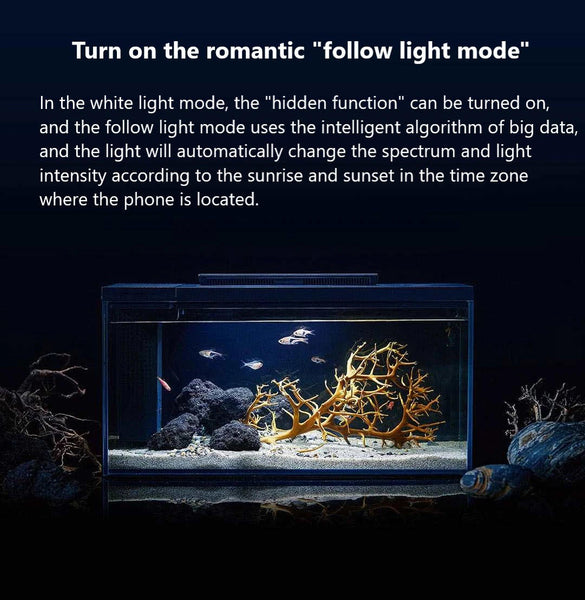 petkit-smart-aquarium-eco-friendly-fish-tank-mobile-app-aquarium-smart ...
