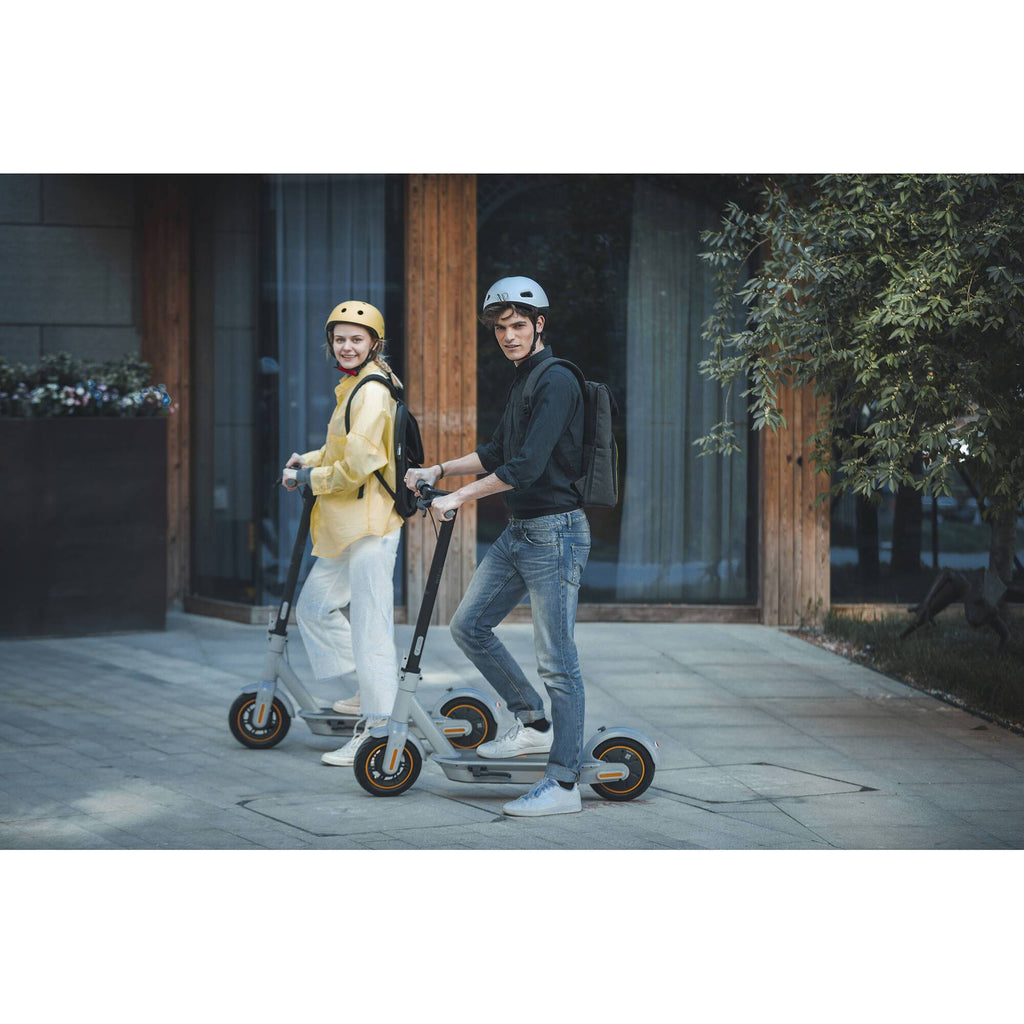 Segway Ninebot KickScooter MAX G30LP Electric Scooter Electric Scooter ...